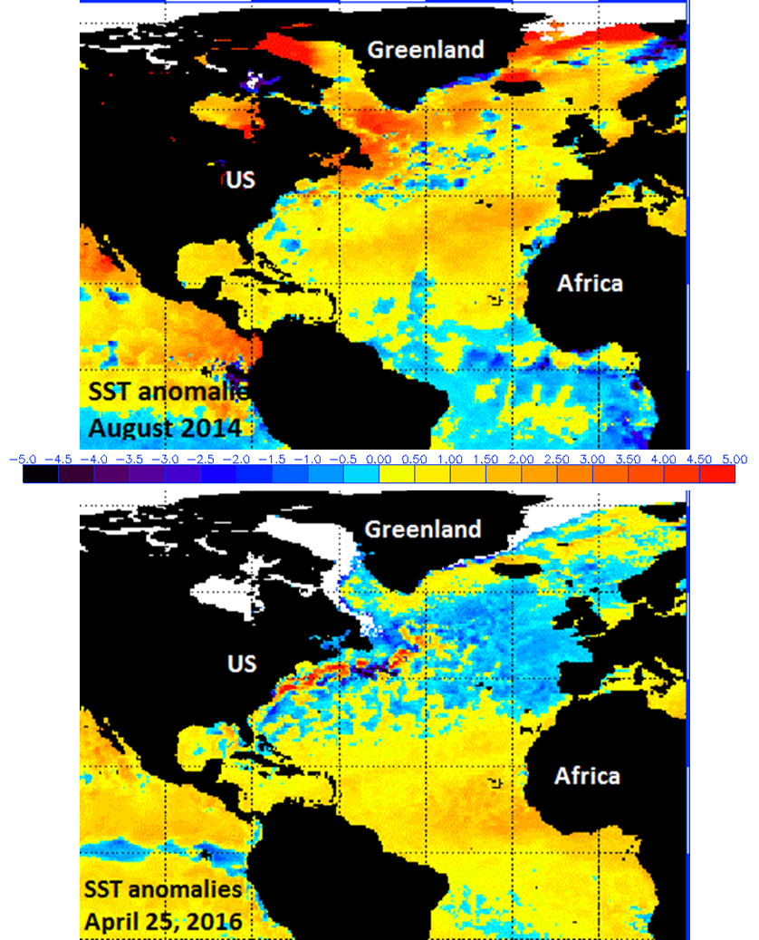 Atlantic Ocean Cooling | Science Matters