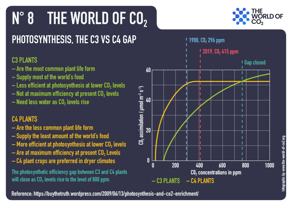 World of CO2 Infographics 2024 Update | Science Matters